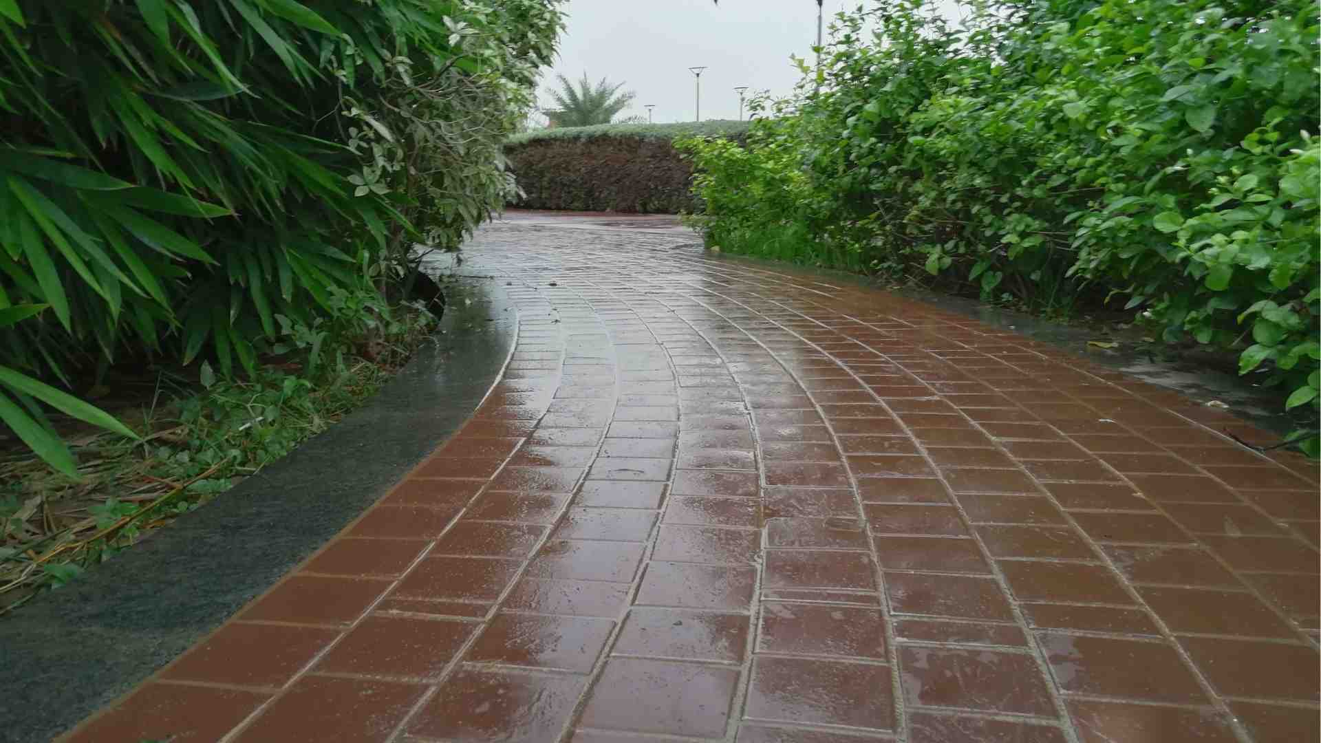 The Top 10 Best Walkway Ideas to Pair with Your Driveway - Experts Remodel